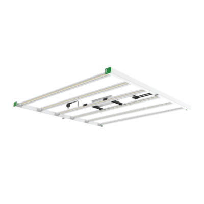 Horticulture LED Light - Greenlite Lighting Corporation USA
